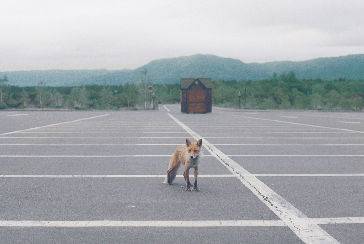 Prints – JEREMY HO